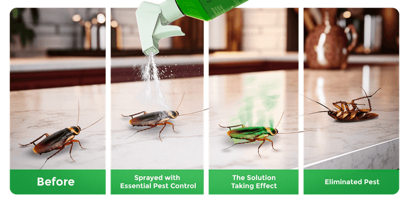 BugMD Essential Pest Control