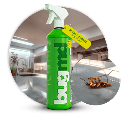 BugMD Essential Pest Control